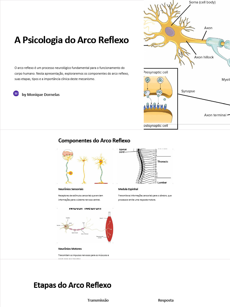 A Psicologia Do Arco Reflexo | PDF | Estímulo (Fisiologia) | Neurônio
