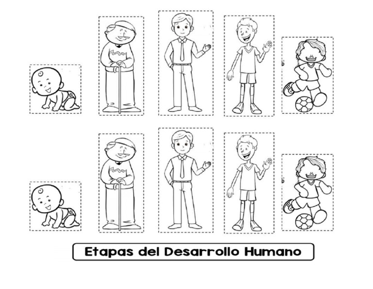 Etapas Del Desarrollo Humano | PDF