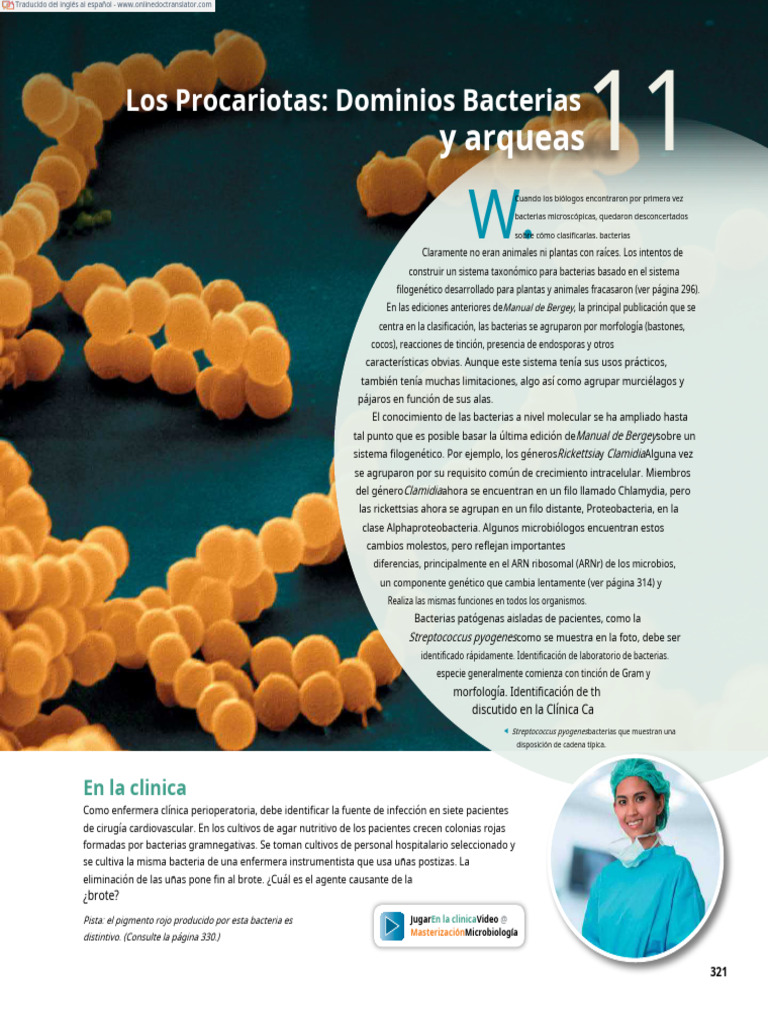 Clasificación de Bacterias y Arqueas | PDF | Las bacterias | Archaea