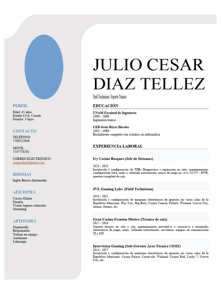 CV Julio Cesar Diaz Tellez | PDF | Informática