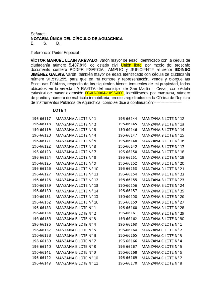 Poder Victor Manuel Llain | PDF