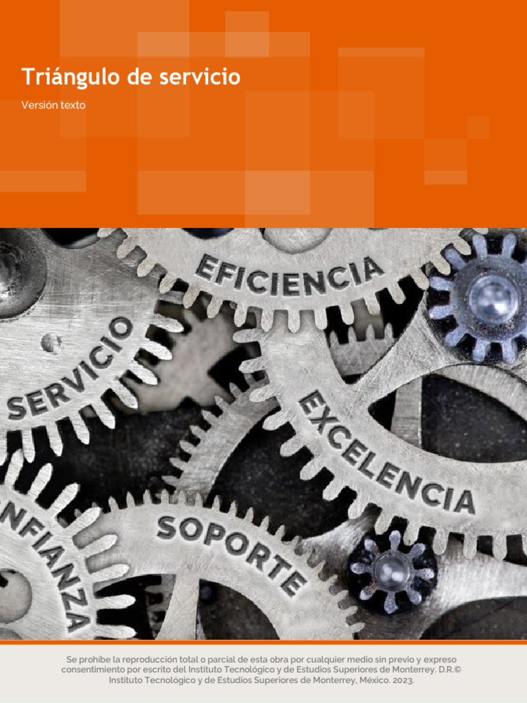 Triangulo de Servicio | PDF | Cliente