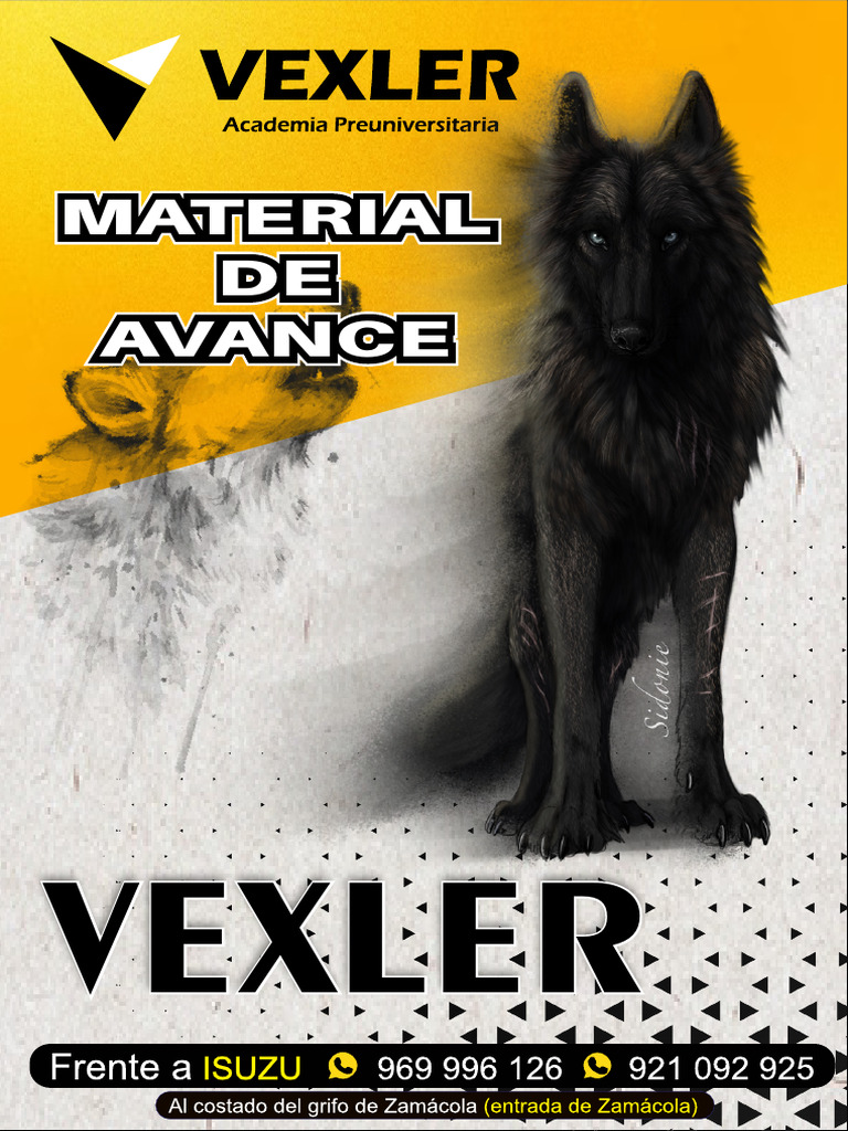 Material Vexler 2 Imprimir | PDF | Matemáticas | Matemática Elemental