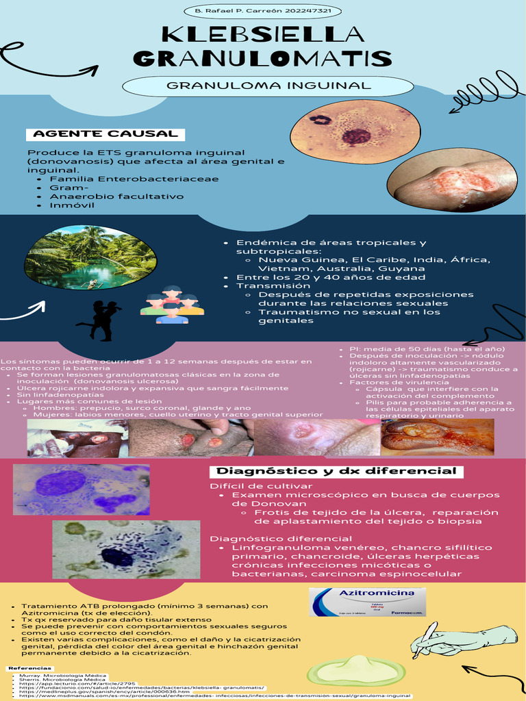 Infografía Klebsiella Granulomatis | PDF | Especialidades Medicas ...