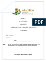 EGD Practical Assessment Task | PDF