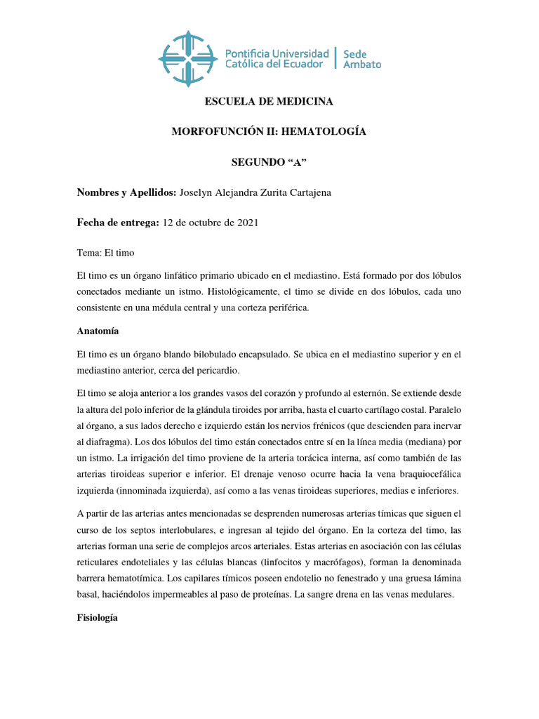 El Timo Pdf Célula T Timo