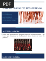 Test de Jack | PDF | Pie | Dedo del pie
