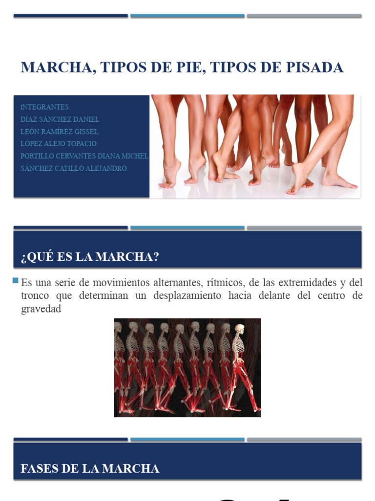 Marcha, Tipos de Pies y Tipos de Pizada | Descargar gratis PDF | Pie | Dedo del pie