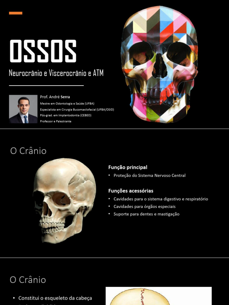 Anatomia - Aula 02 - Ossos - NeurocranioJ Viscerocranio e ATM | PDF ...