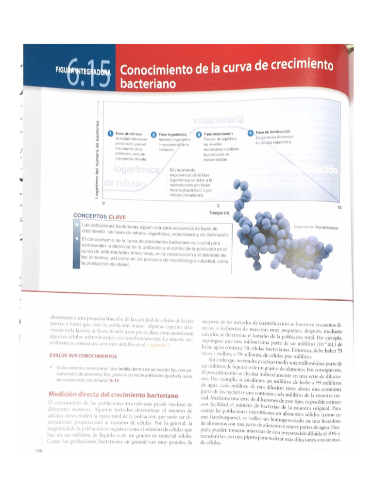 Escaneados Medir Crecimiento Microb | PDF