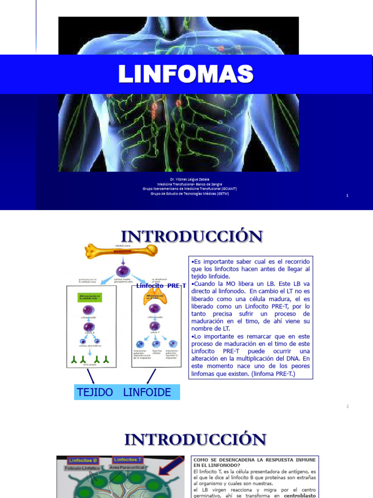 Linfomas | PDF | Célula T | Linfoma