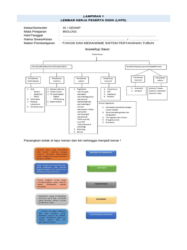 LPKD Sistem Kekebalan Tubuh | PDF