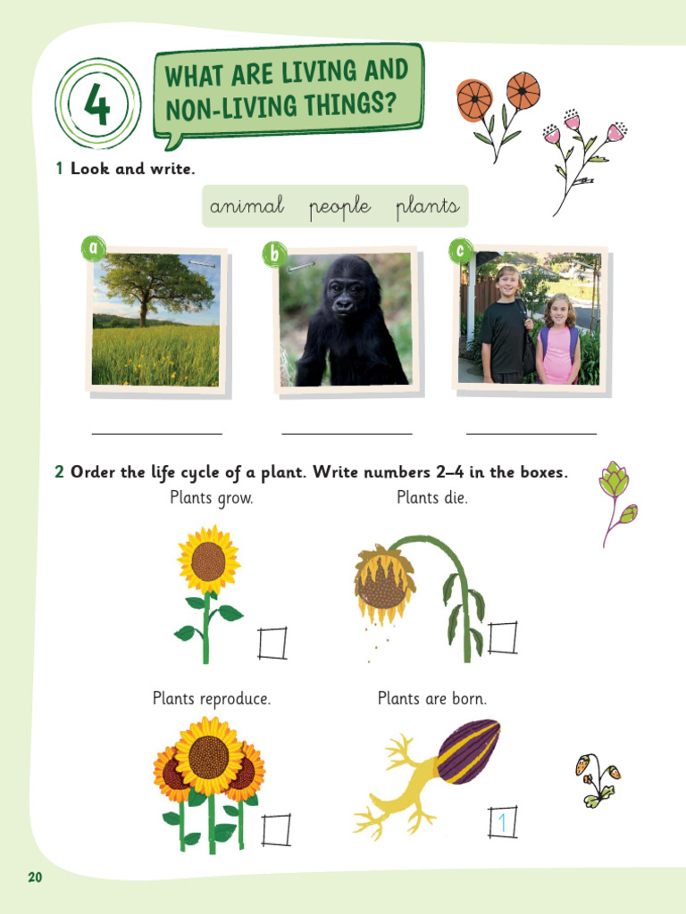 NaturalScience1 ActivityBook Unit4 | PDF | Language Arts & Discipline ...