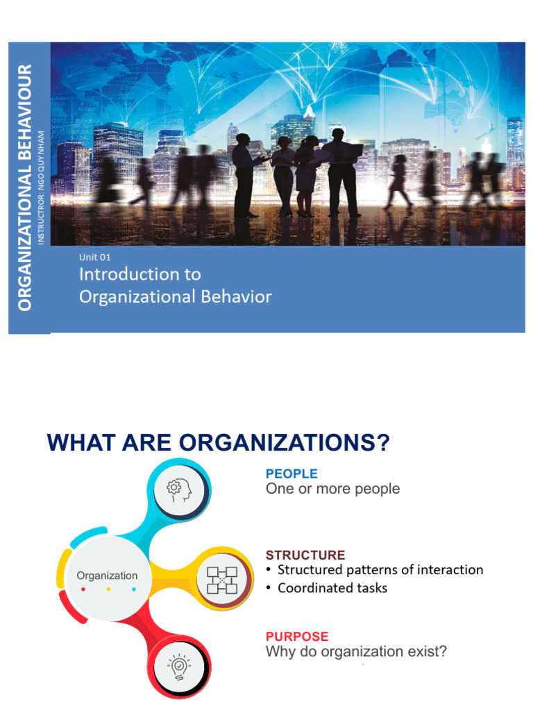 Organisational Behaviour - Chapter 1 | PDF | Organizational Behavior | Knowledge