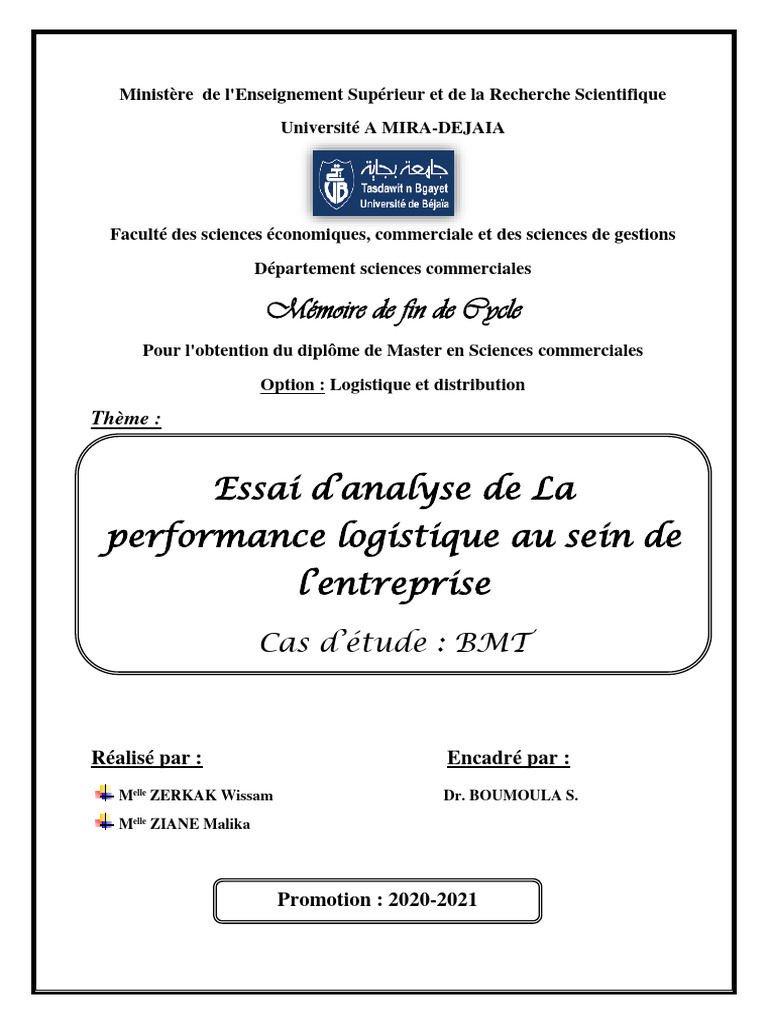 Essai D'analyse de La Performance Logistique Au Sein de L'entreprise ...