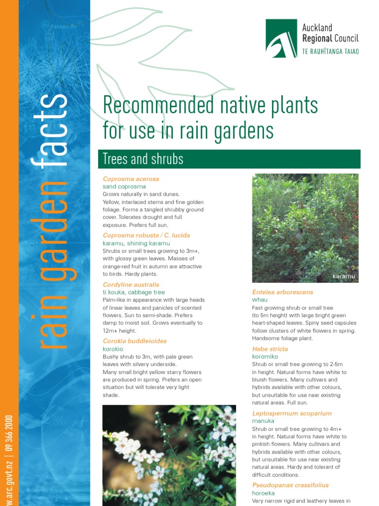 New Zealand Recommended Native Plants For Use in Rain Gardens ...
