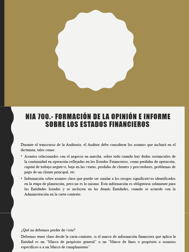 NIAS | PDF | Estado financiero | Contralor