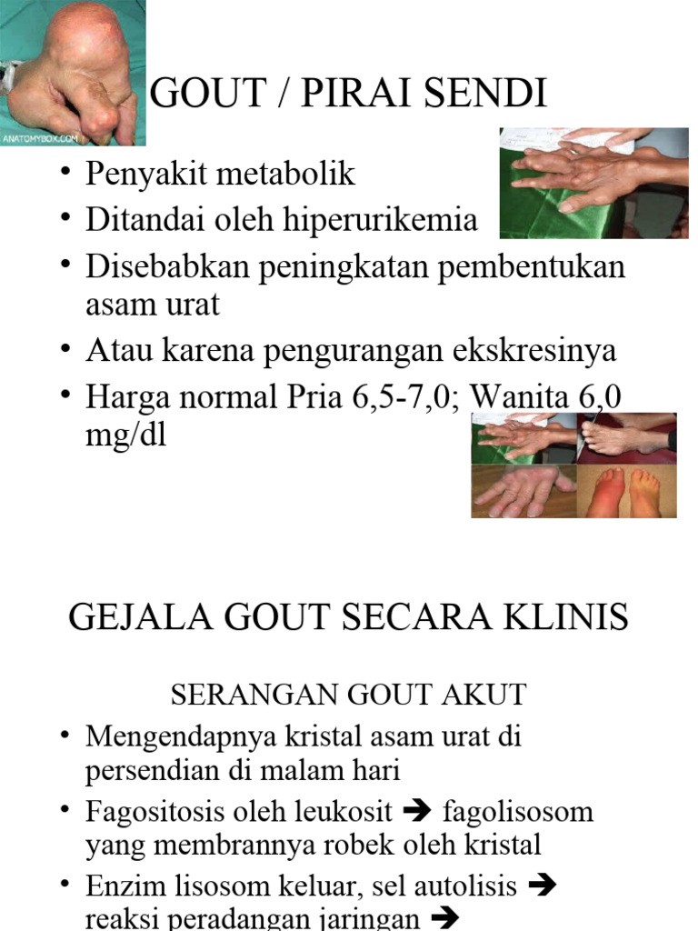 Panduan Gout dan Pengobatannya | PDF | Kesehatan Holistik