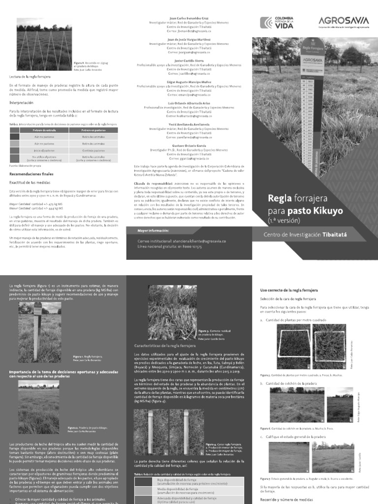 Plegable 1 Capítulo 3 | PDF