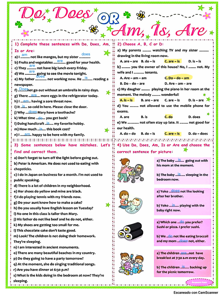 Ejercicios Do Does Am Is Are Did | PDF