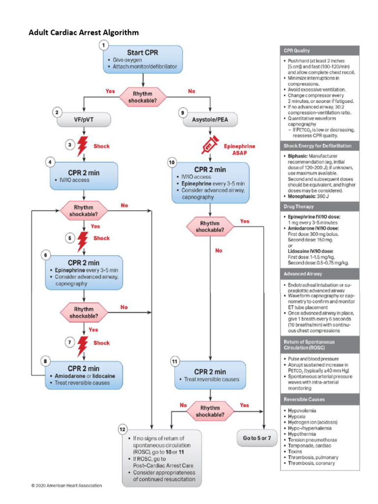 2020 ACLS Algorithms | PDF 2020 ACLS Algorithms | PDF