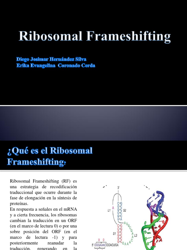 Ribosomal Frameshifting | PDF | Traducción (biología) | Rna