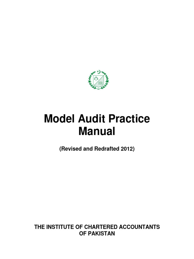 Microsoft Word - Audit Practice Manual-Clean | PDF | Audit | Internal Control