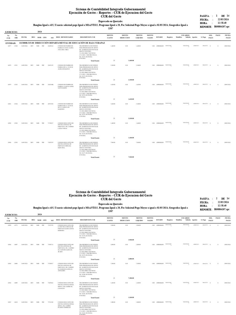Reporte de Ejecución de Gastos 2024 | PDF