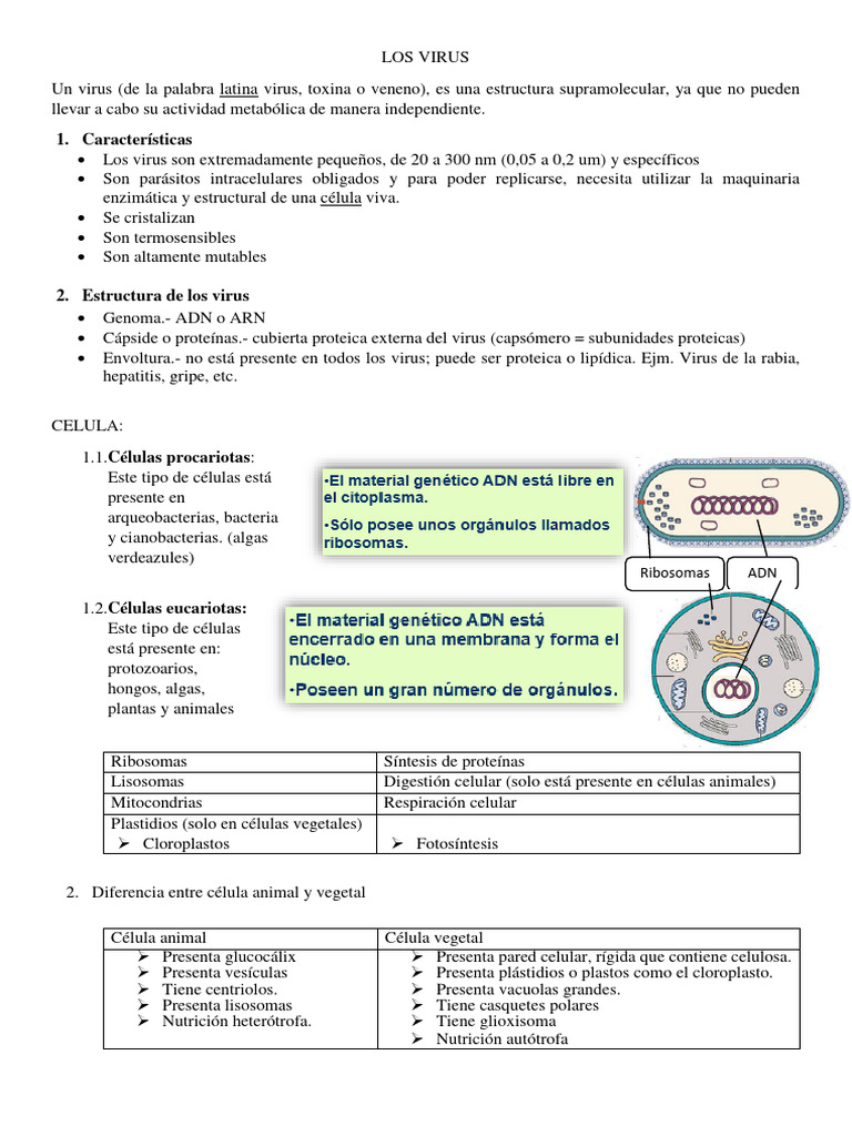 Características y Clasificación de Virus y Células | PDF | Plantas ...