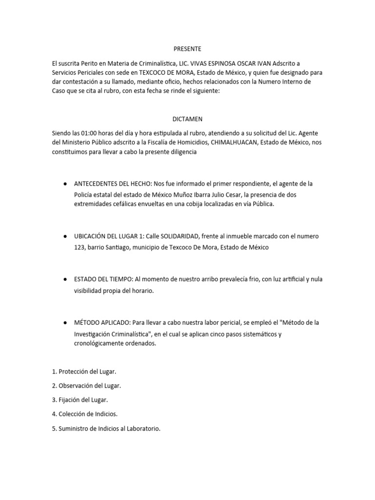 DICTAMEN PERICIAL | PDF