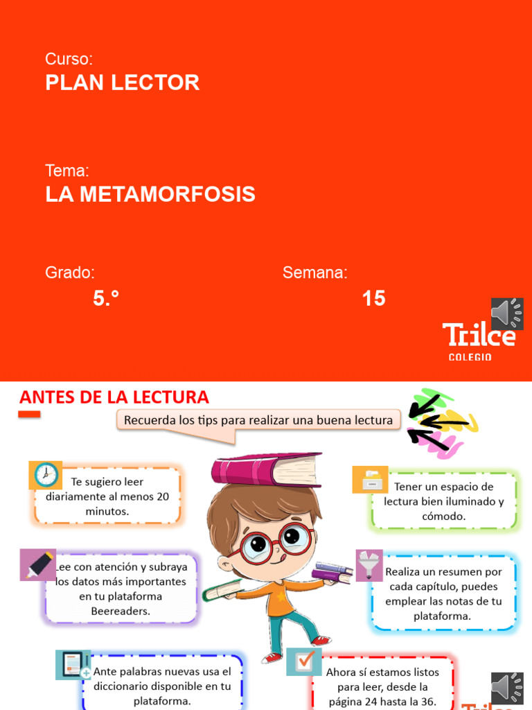 Actividades de Lectura: La Metamorfosis | PDF | La metamorfosis