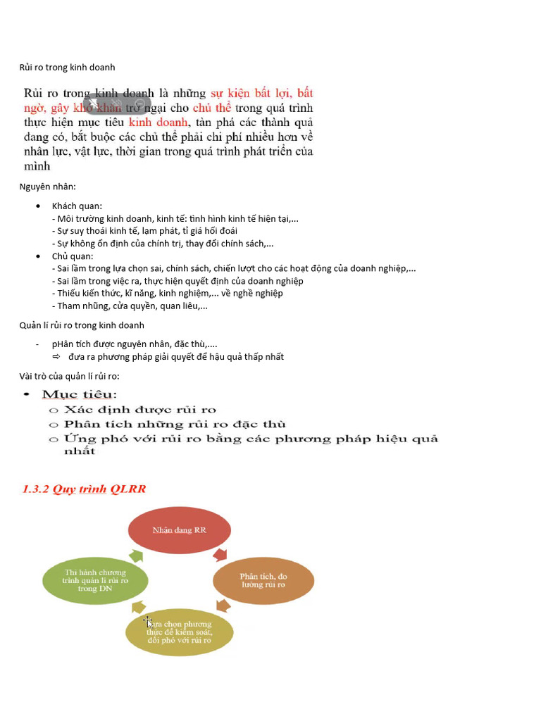 R I Ro Trong Kinh Doanh | PDF