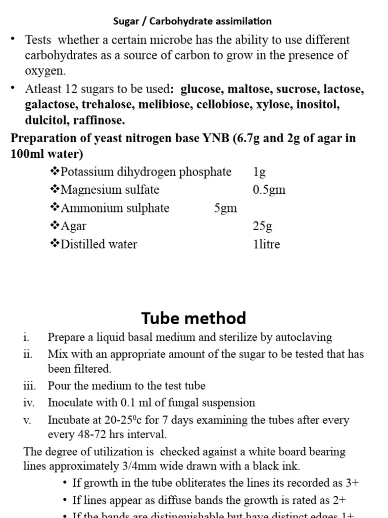 Carbohydrate Assimilation | PDF | Cooking, Food & Wine | Wellness