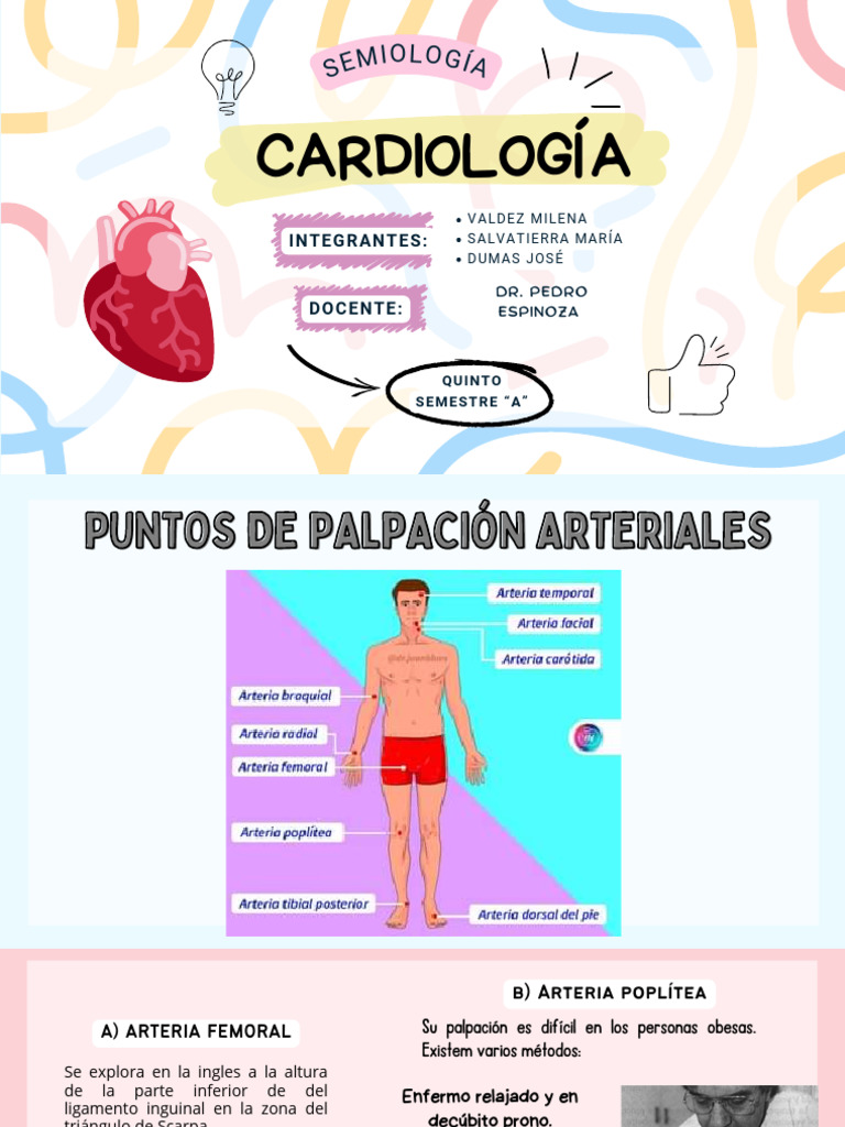 SEMIO | PDF | Aorta | Angiografía