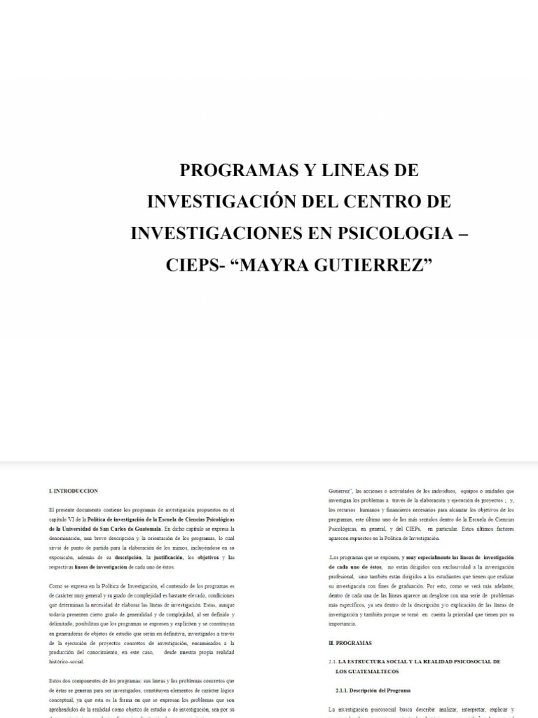 Programas y L Neas de Investigaci | PDF
