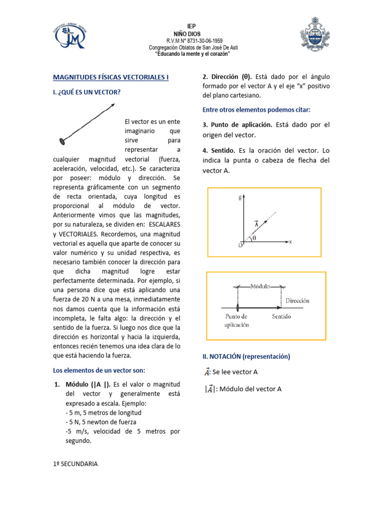 Conceptos Básicos de Vectores en Física | PDF | Vector Euclidiano ...