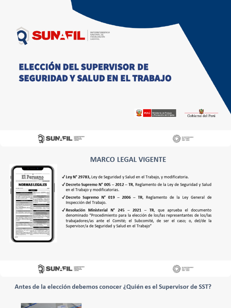Cómo Elegir Un Supervisor de SST | PDF | Derecho laboral | Gobierno