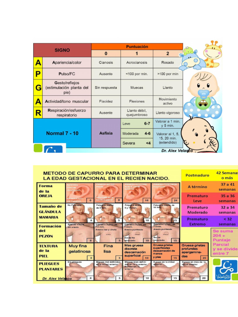 test de capurro | PDF