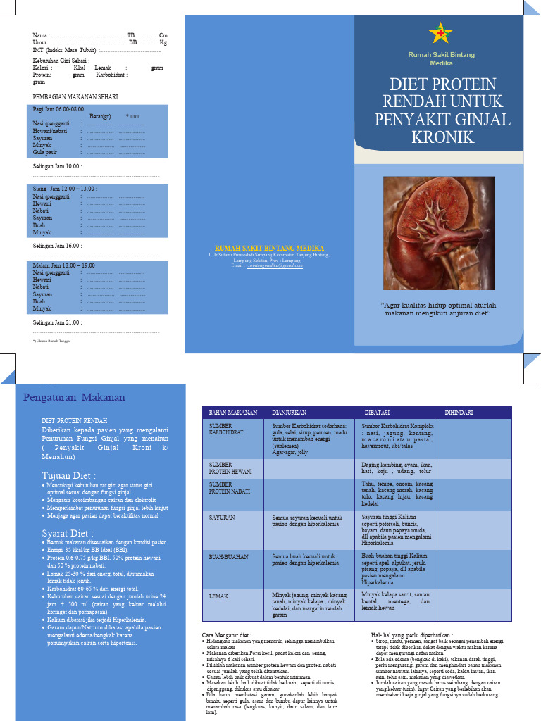 Leaflet Diet Protein Rendah Untuk Penyakit Ginjal Kronik RSBM | PDF