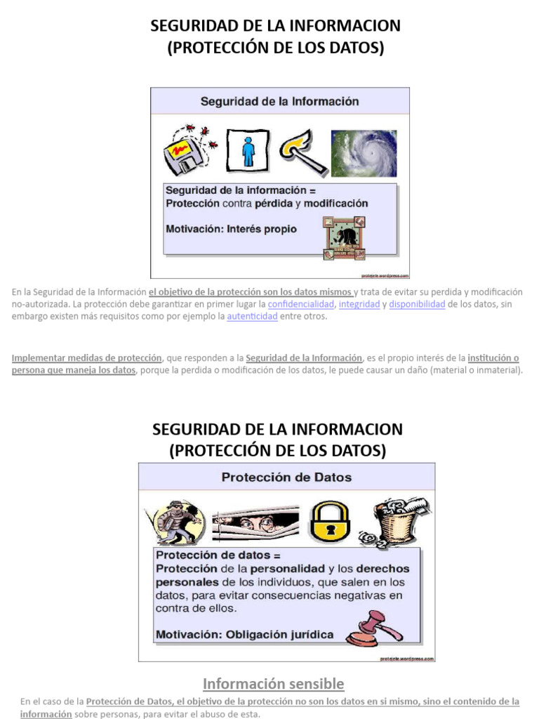 Seguridad de La Informacion | PDF | Seguridad de información | Riesgo