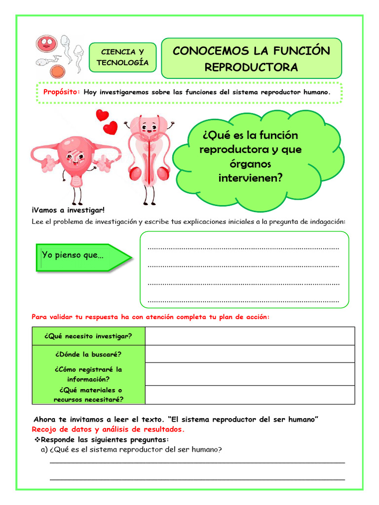 Ficha-Cyt-Conocemos La Función Reproductora | Descargar gratis PDF ...