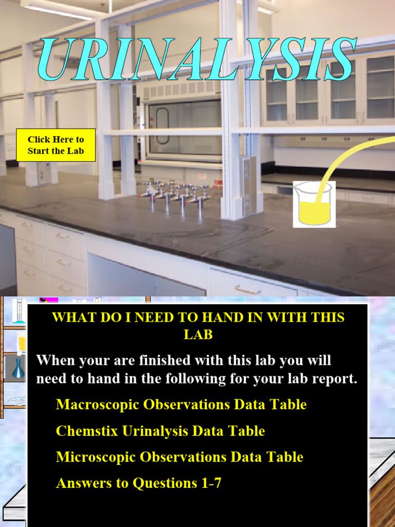 URINALYSIS | PDF | Urine | Medical Specialties