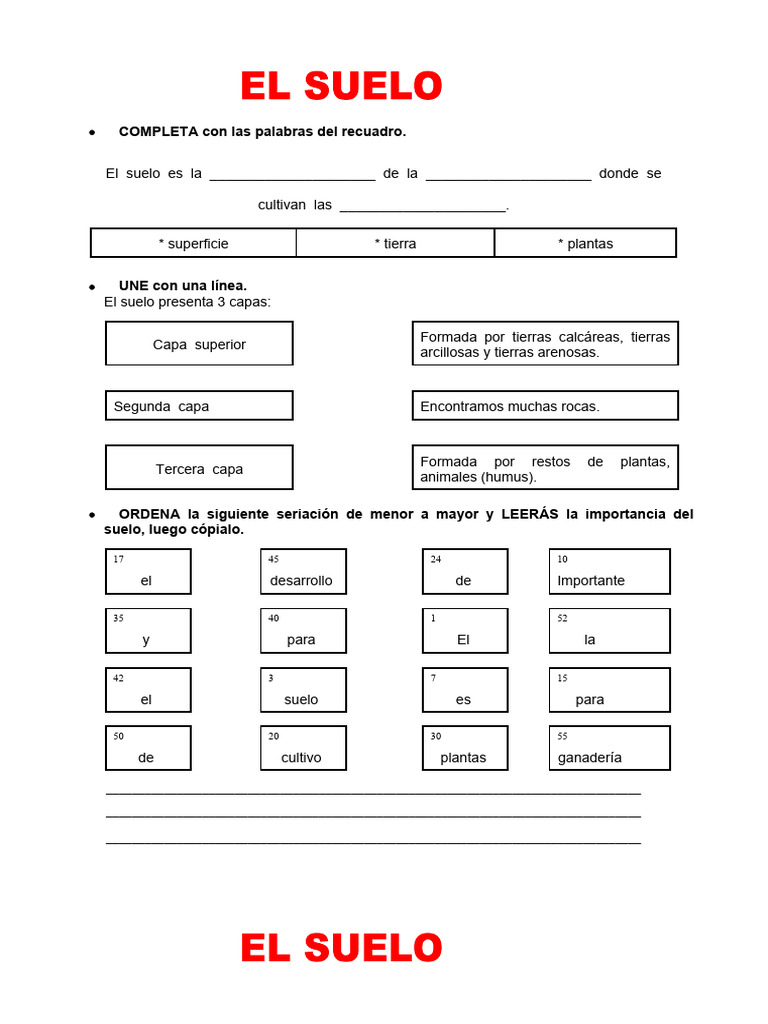 Ficha El-suelo-para-Primer-Grado | PDF | Suelo | Ciencia del suelo