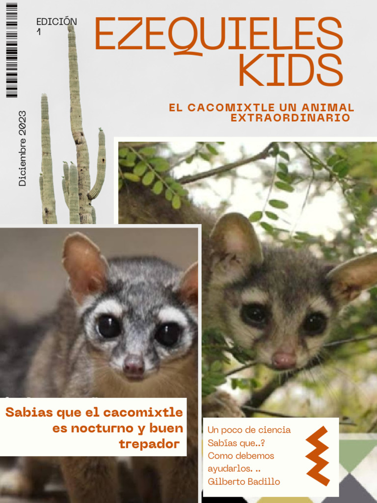 Portada de revista de turismo, atrevida, llamativa, con diagramación de ...