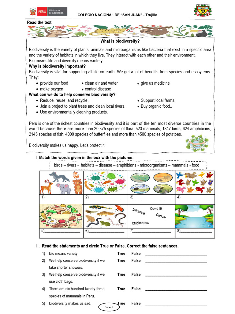 Biodiversity Education Activities for Students | PDF | Biodiversity ...
