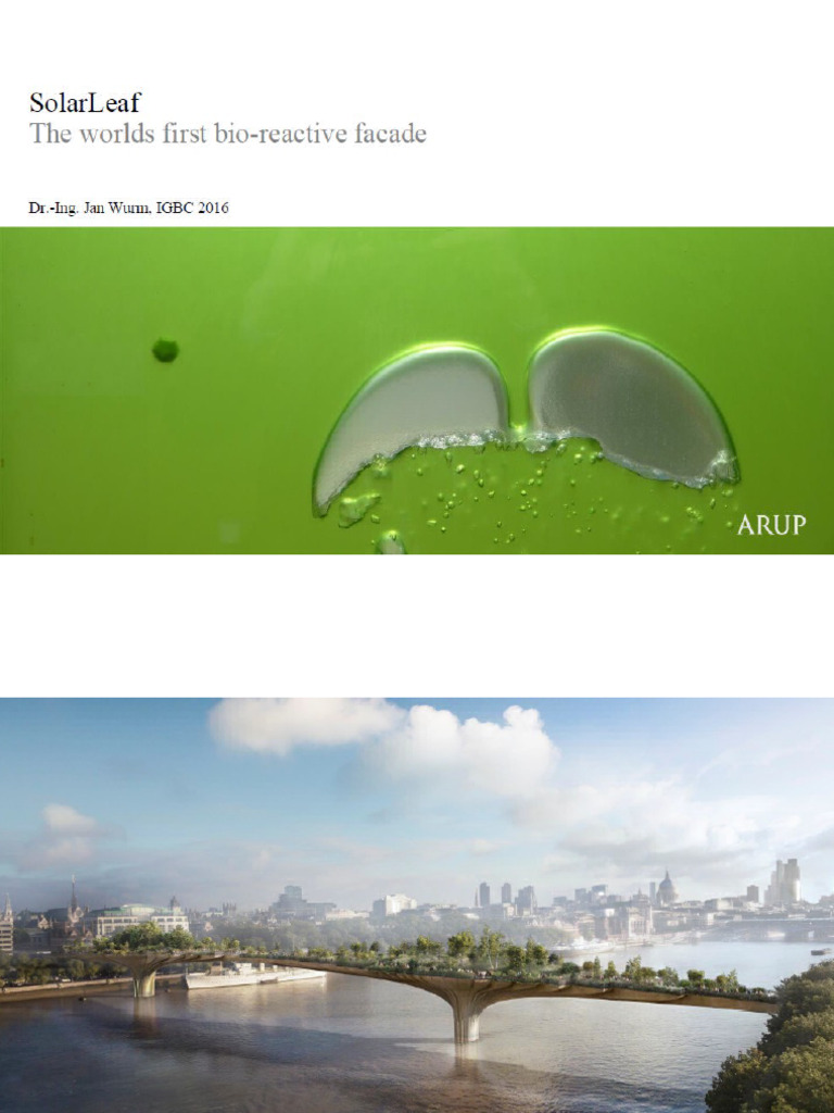 AR158 Solar Leaf | PDF