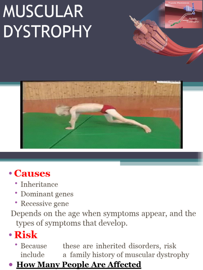 MD | PDF | Muscular Dystrophy | Neurological Disorders