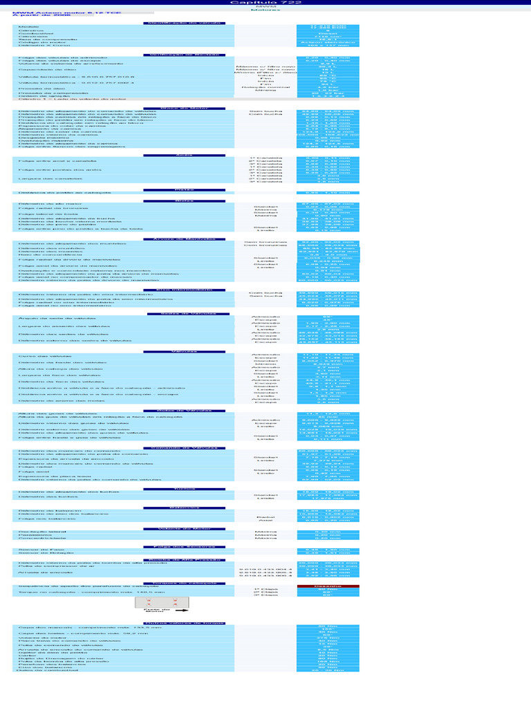 VM 310 MWM Acteon | PDF