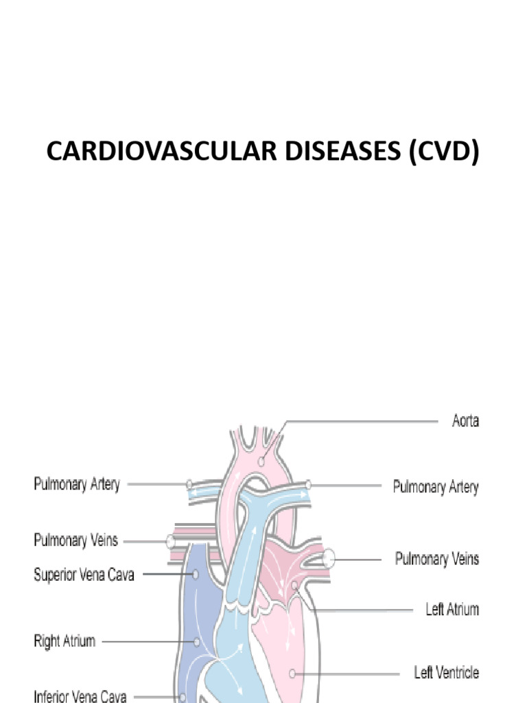 CARDIOVASCULAR DISEASES (CVD) - Slides (Autosaved) | PDF | Heart ...
