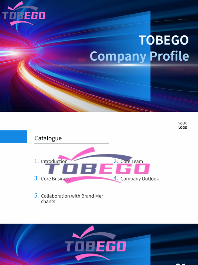 TOBEGO Company Profile | PDF